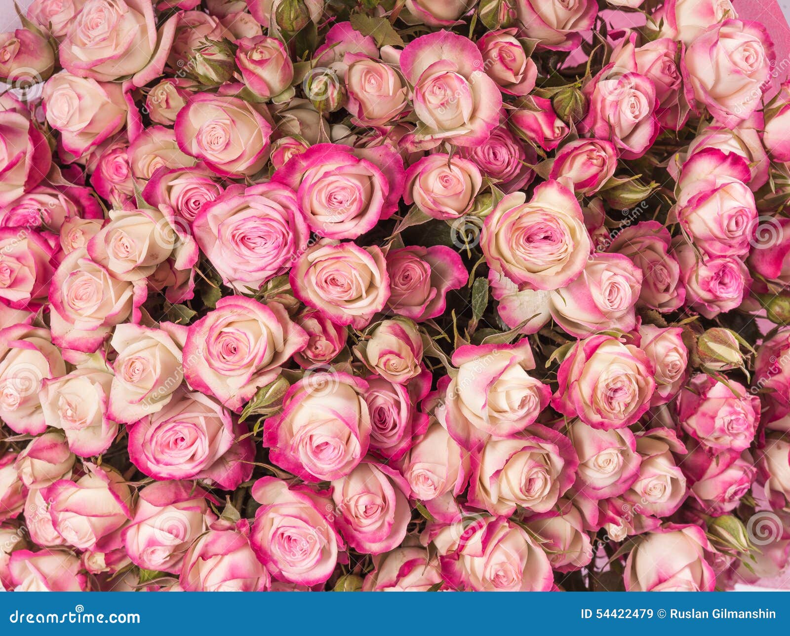 Small Pink Roses Bouquet Close Up Stock Image - Image of fragrant ...