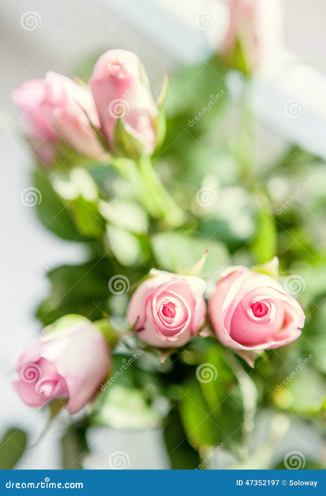Small Pink Roses Bouquet on the Windowsill in Bright Light Stock Image ...