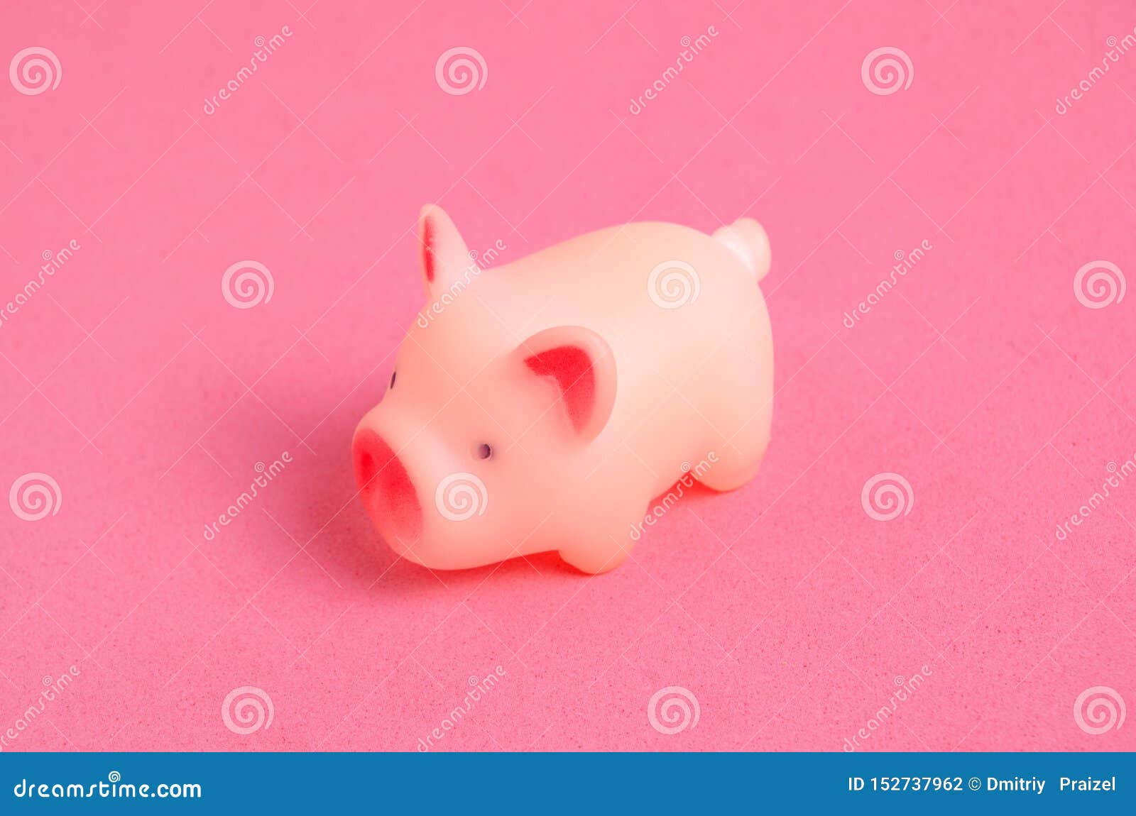 Small, Pink, Rubber Toy Pig on Pink Background Stock Photo - Image of ...