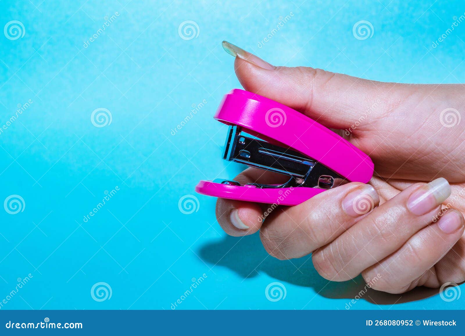 Small Pink Stapler for a Paper on a Blue Background Stock Photo - Image ...