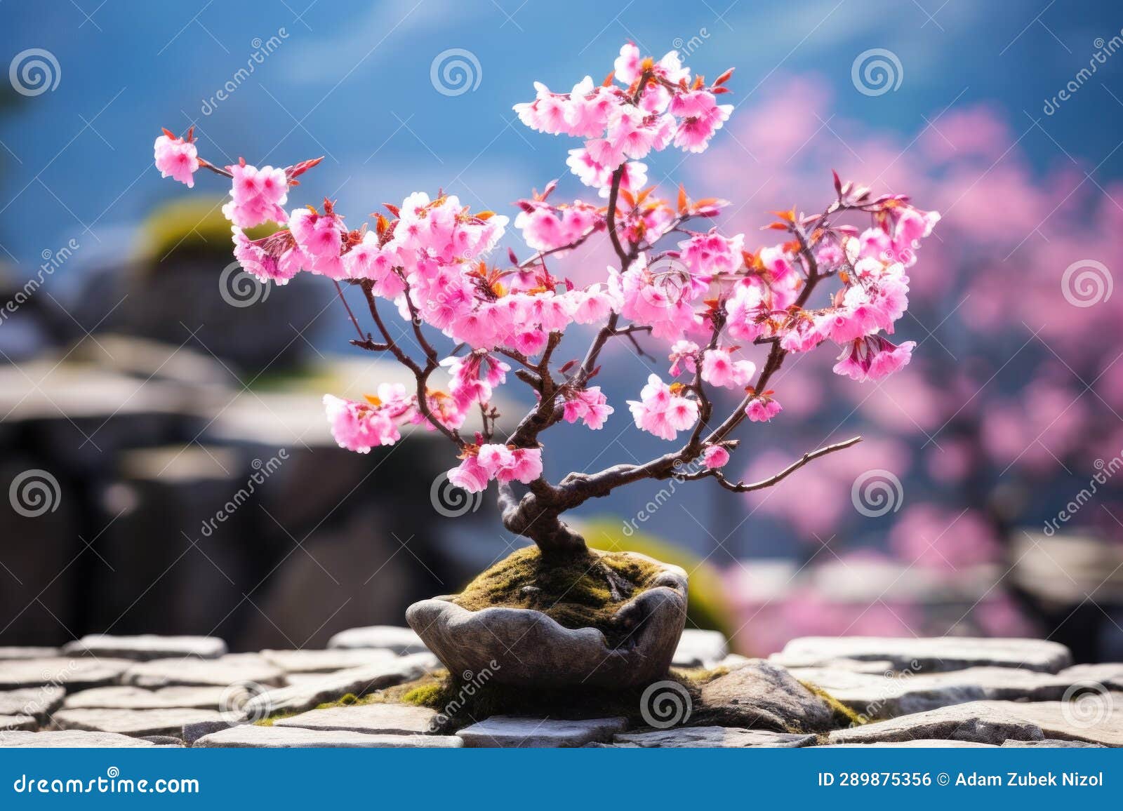 A Small Pink Tree with Pink Flowers Stock Illustration - Illustration ...
