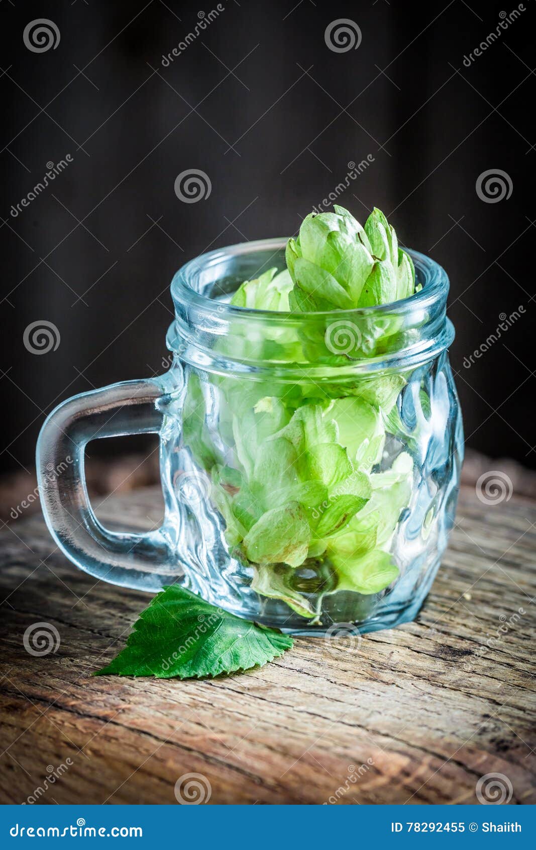 Small Pint of Beer with Hops Inside Stock Image - Image of foam, bitter ...