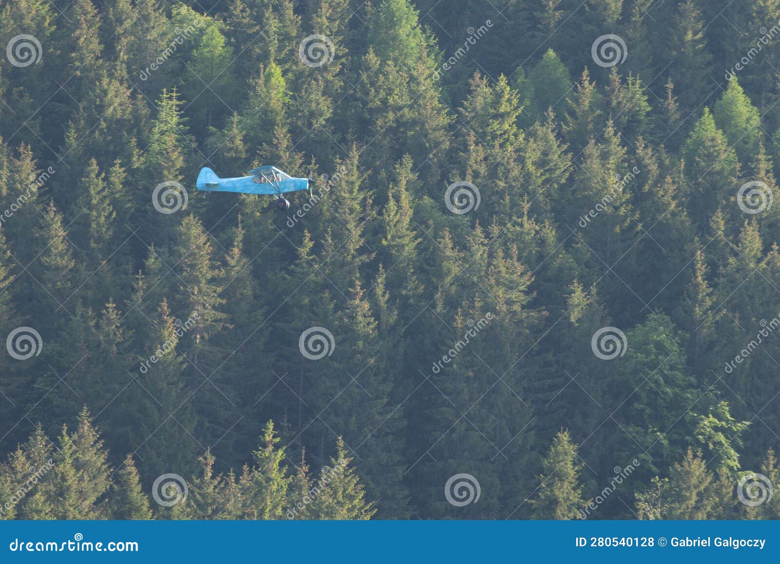 A Small Plane Flies Over the Coniferous Forest Stock Photo - Image of ...