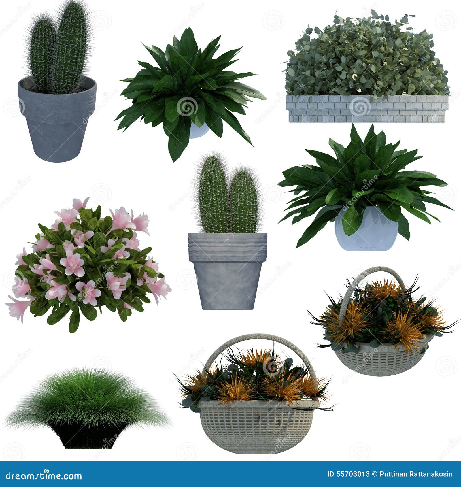 Small plant 3D collection stock image. Image of jungle - 55703013