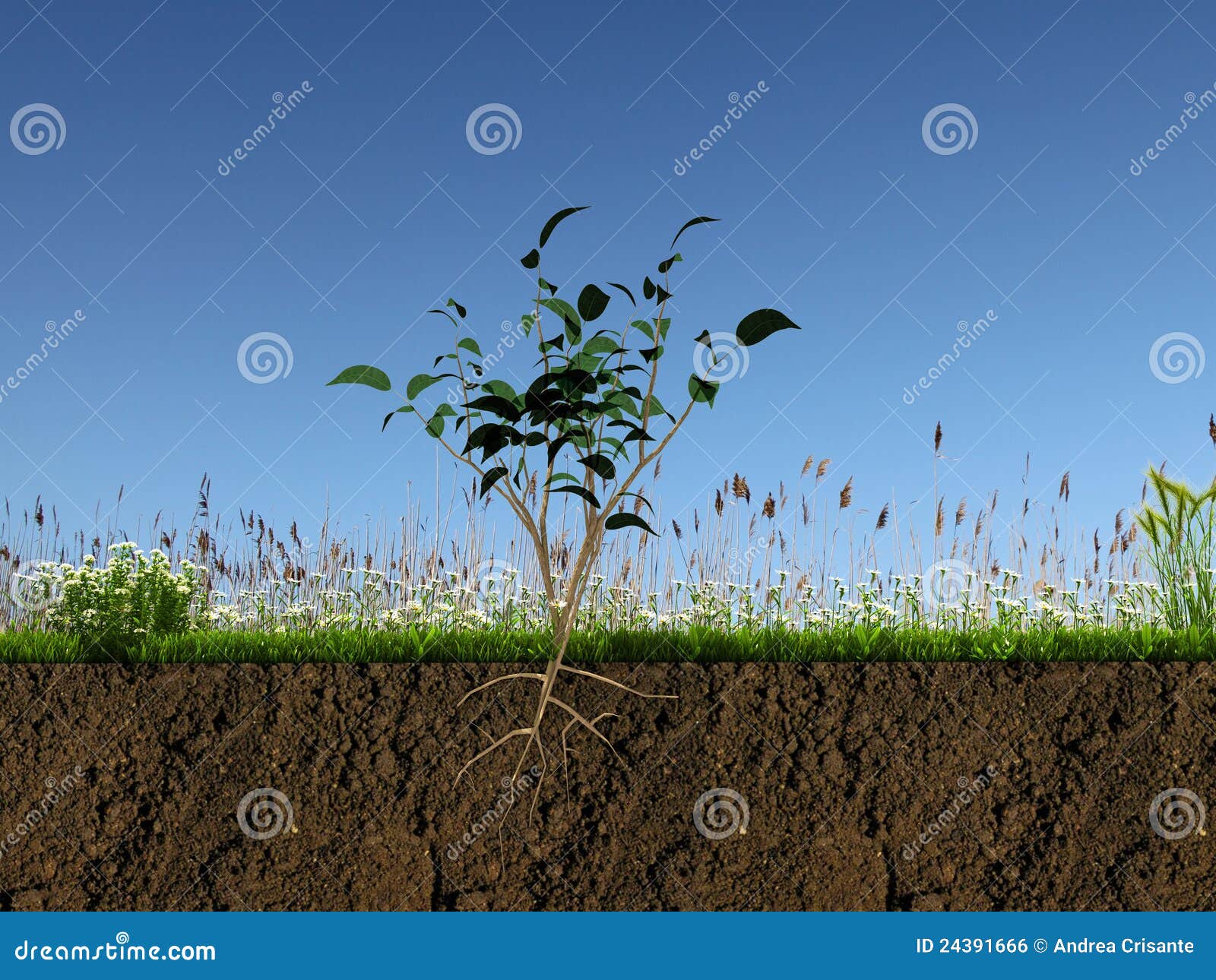 Soil In Section. Volumetric Image Of Structure Of Earth. Sector With ...
