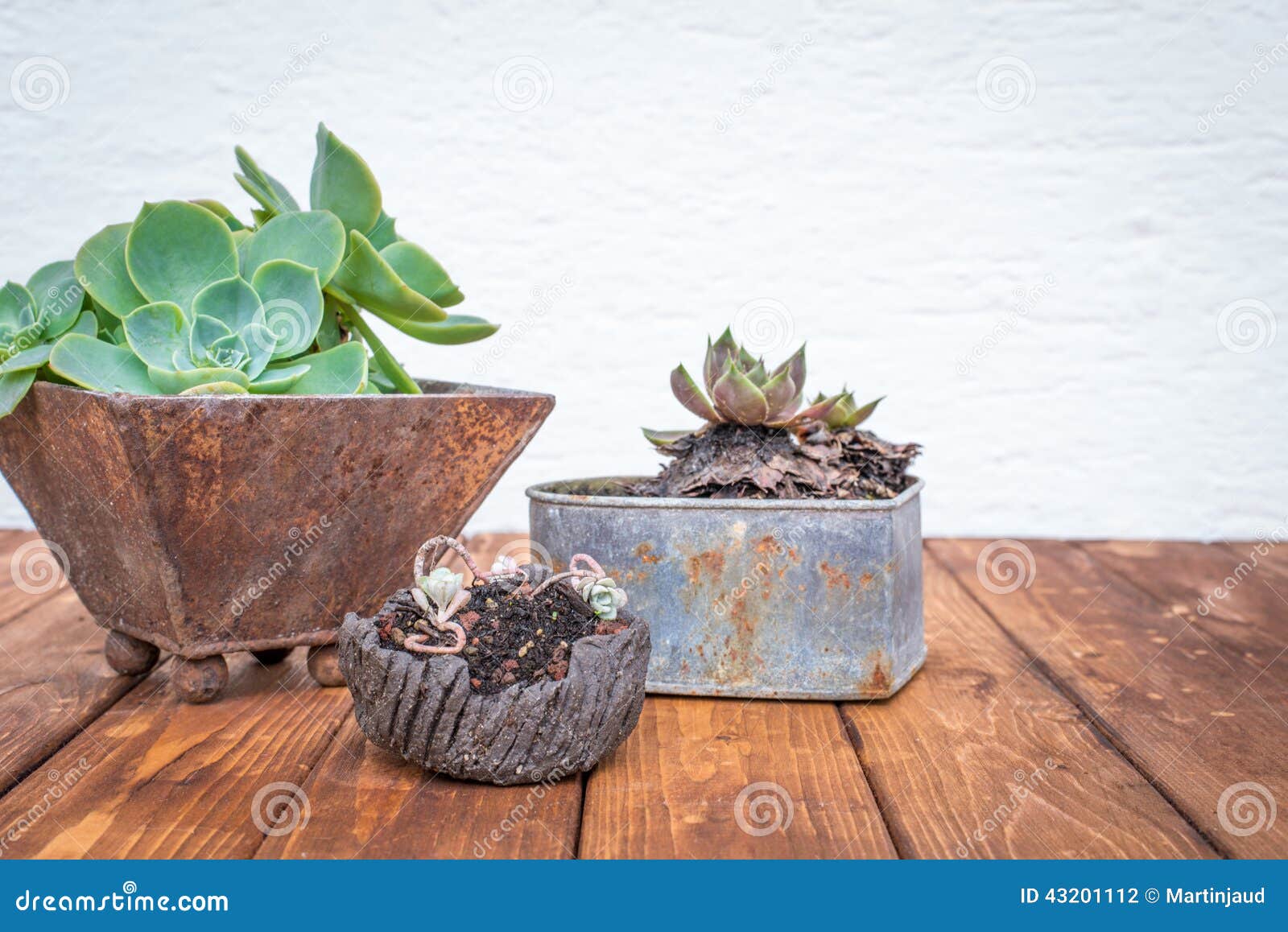 Small Plants in Rusty Flowerpots Stock Photo - Image of rusty ...