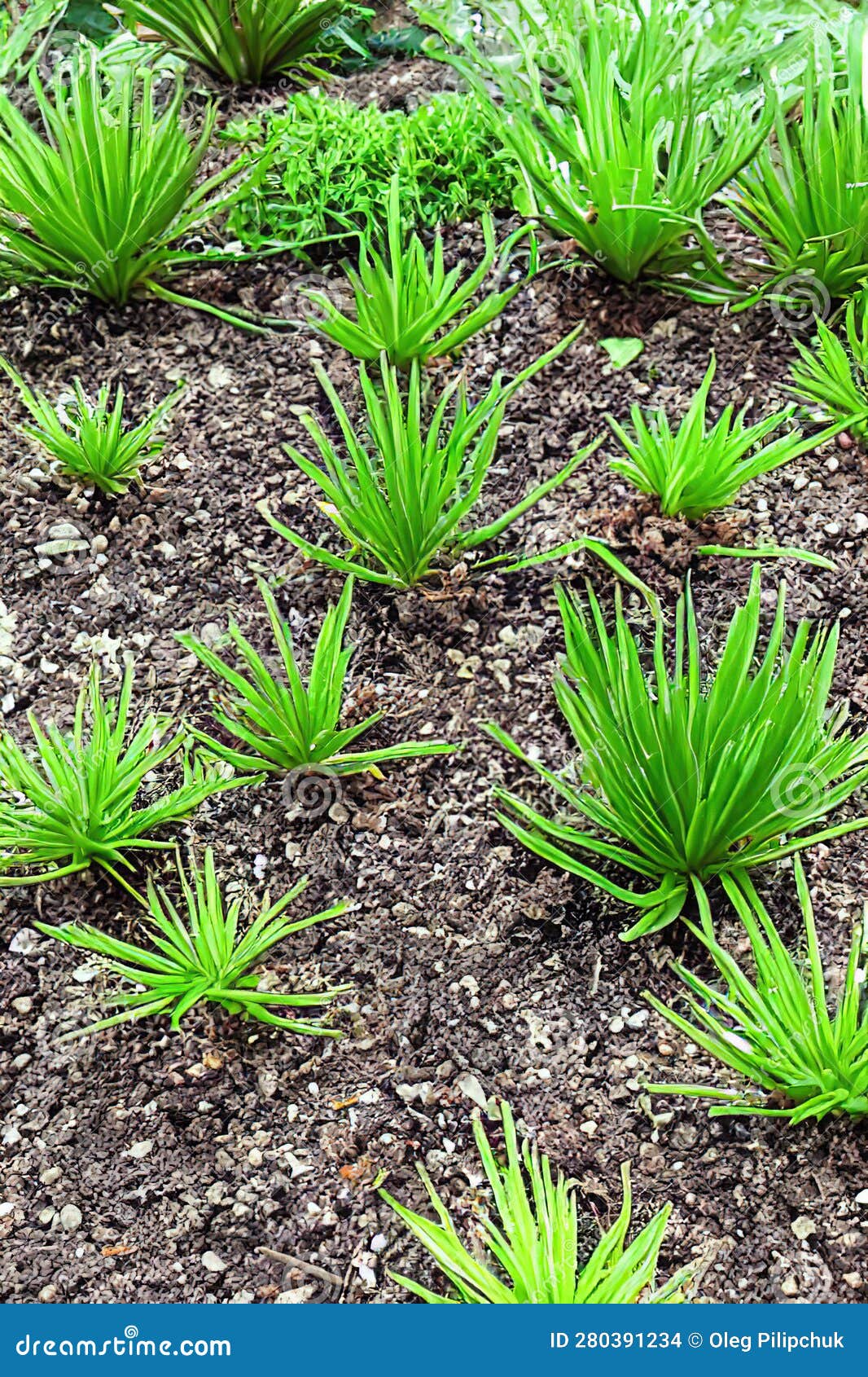 Priming Cartoons, Illustrations & Vector Stock Images - 469 Pictures to ...