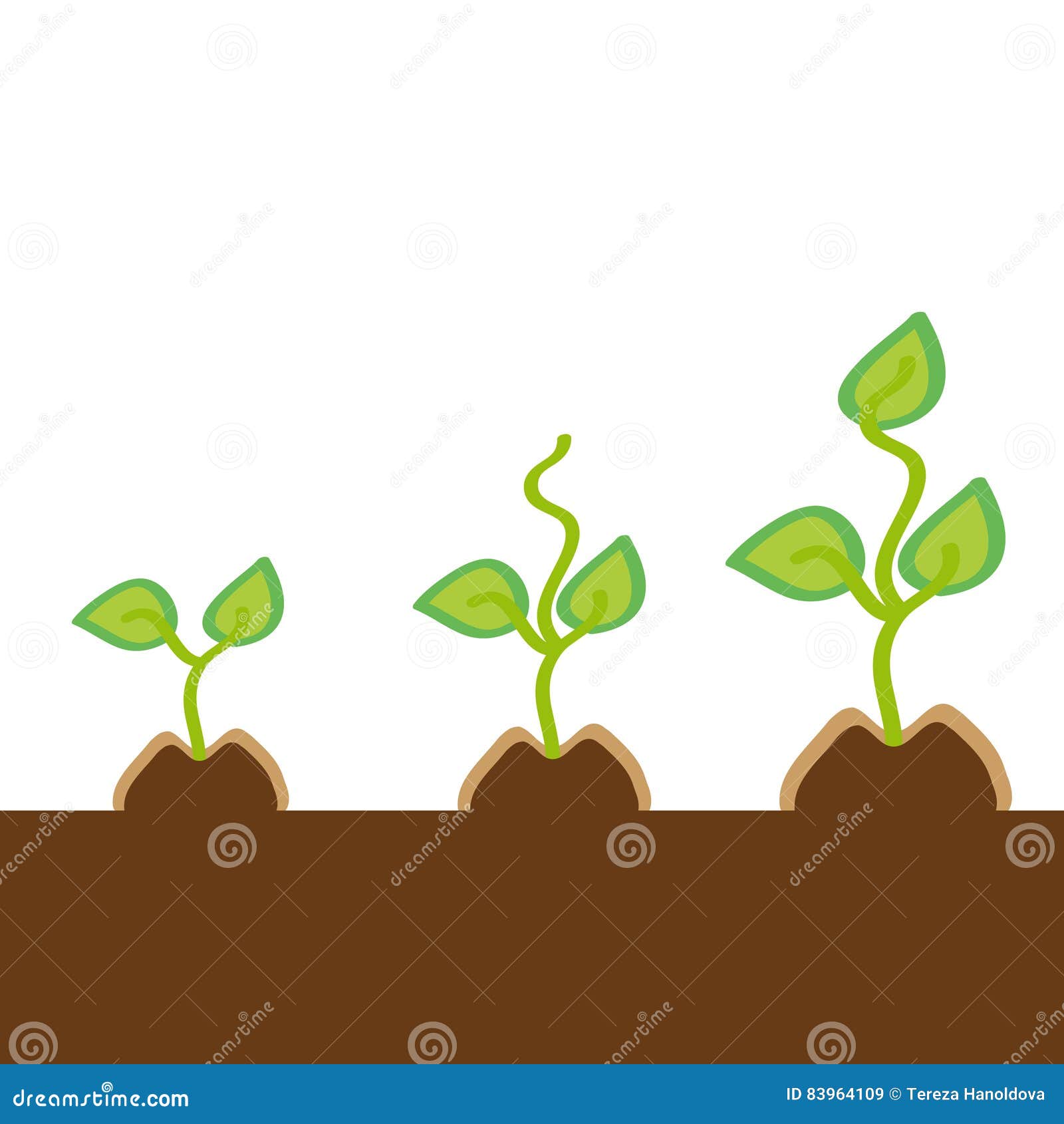 Small Plants on White Background. Stock Vector - Illustration of seed ...