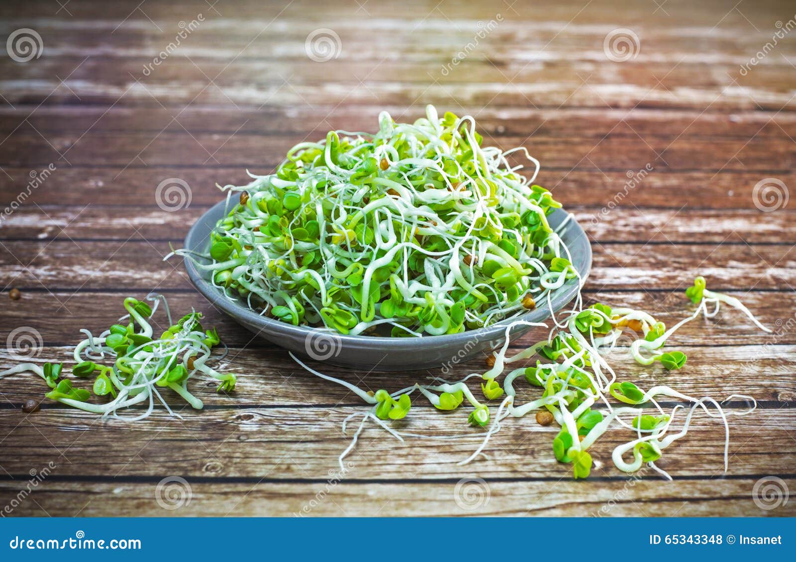 Small plate of sprouts stock photo. Image of nutrition - 65343348
