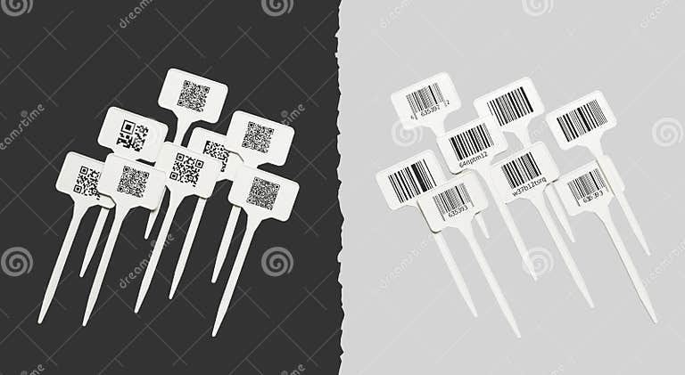 Small Plates with the Image of QR Codes and Barcodes Stock Illustration ...