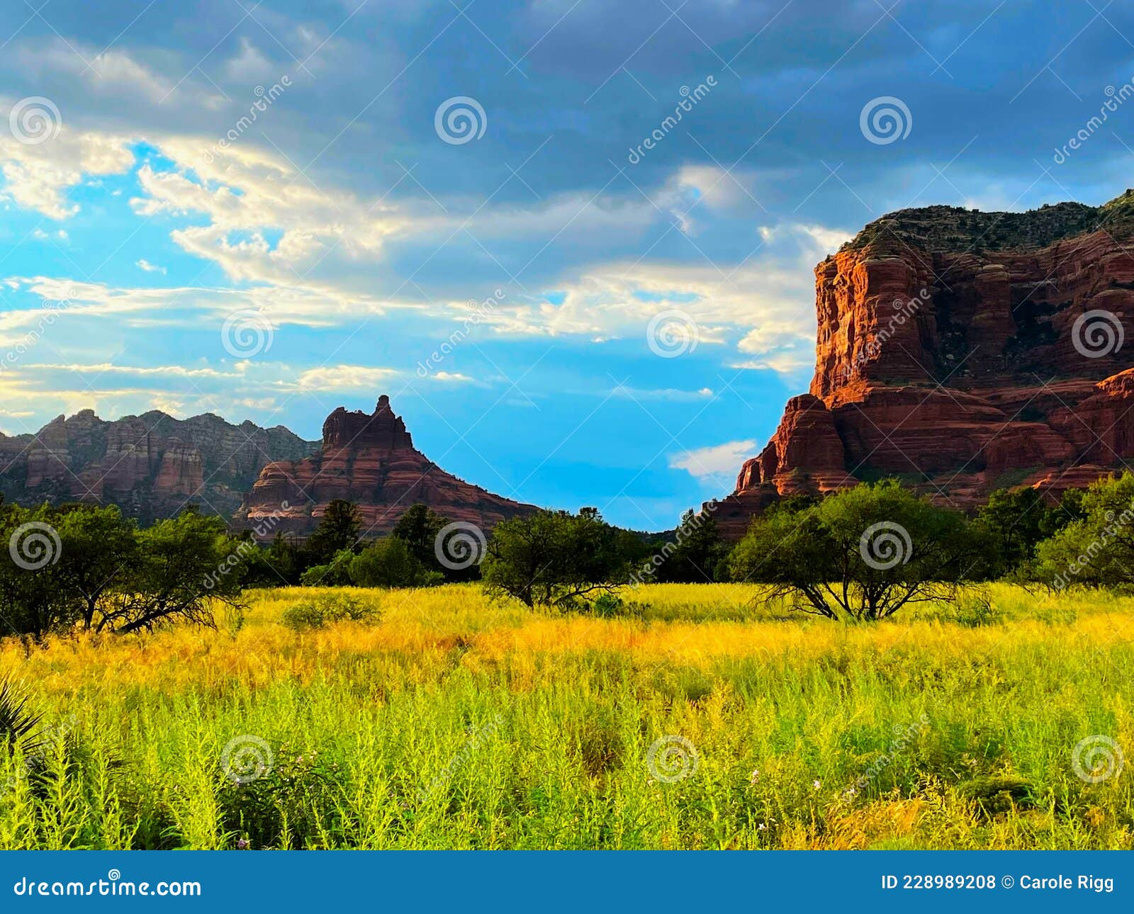 Sedona color palette stock photo. Image of greens, porvide - 228989208