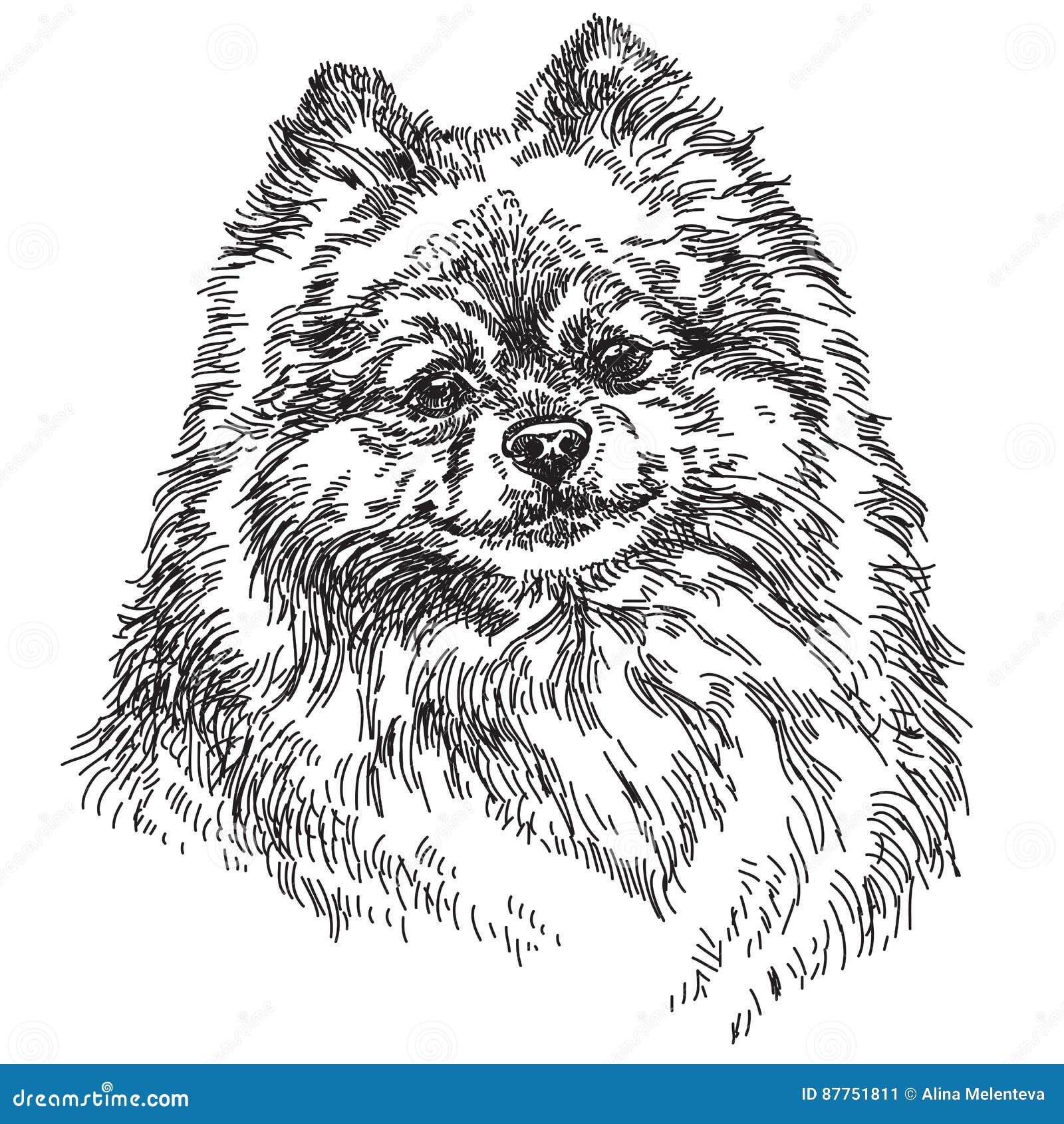 Pomeranian Cartoons, Illustrations & Vector Stock Images - 574 Pictures ...