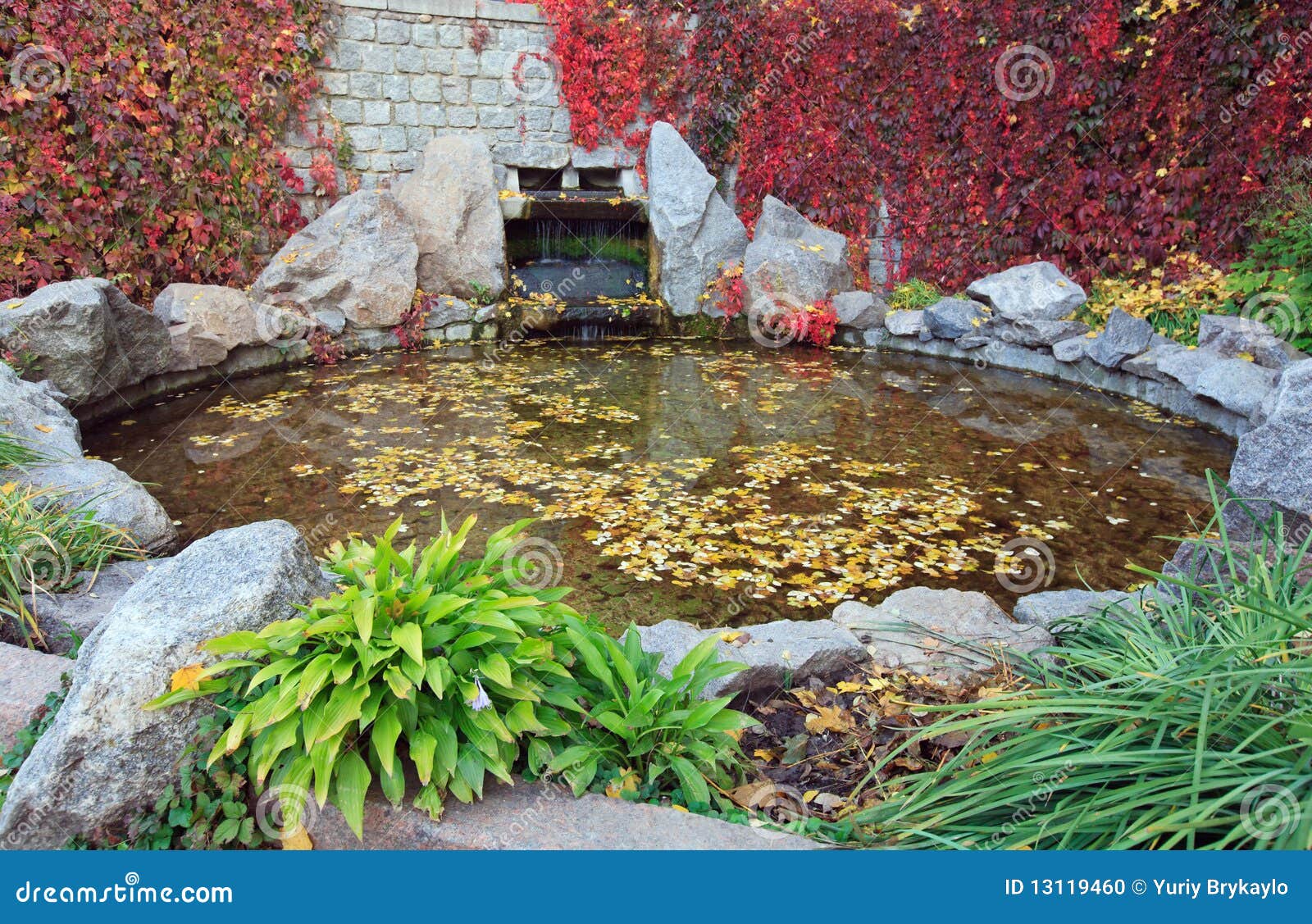 Small Pond in Autumn City Park Stock Photo - Image of idyll, lakeside ...
