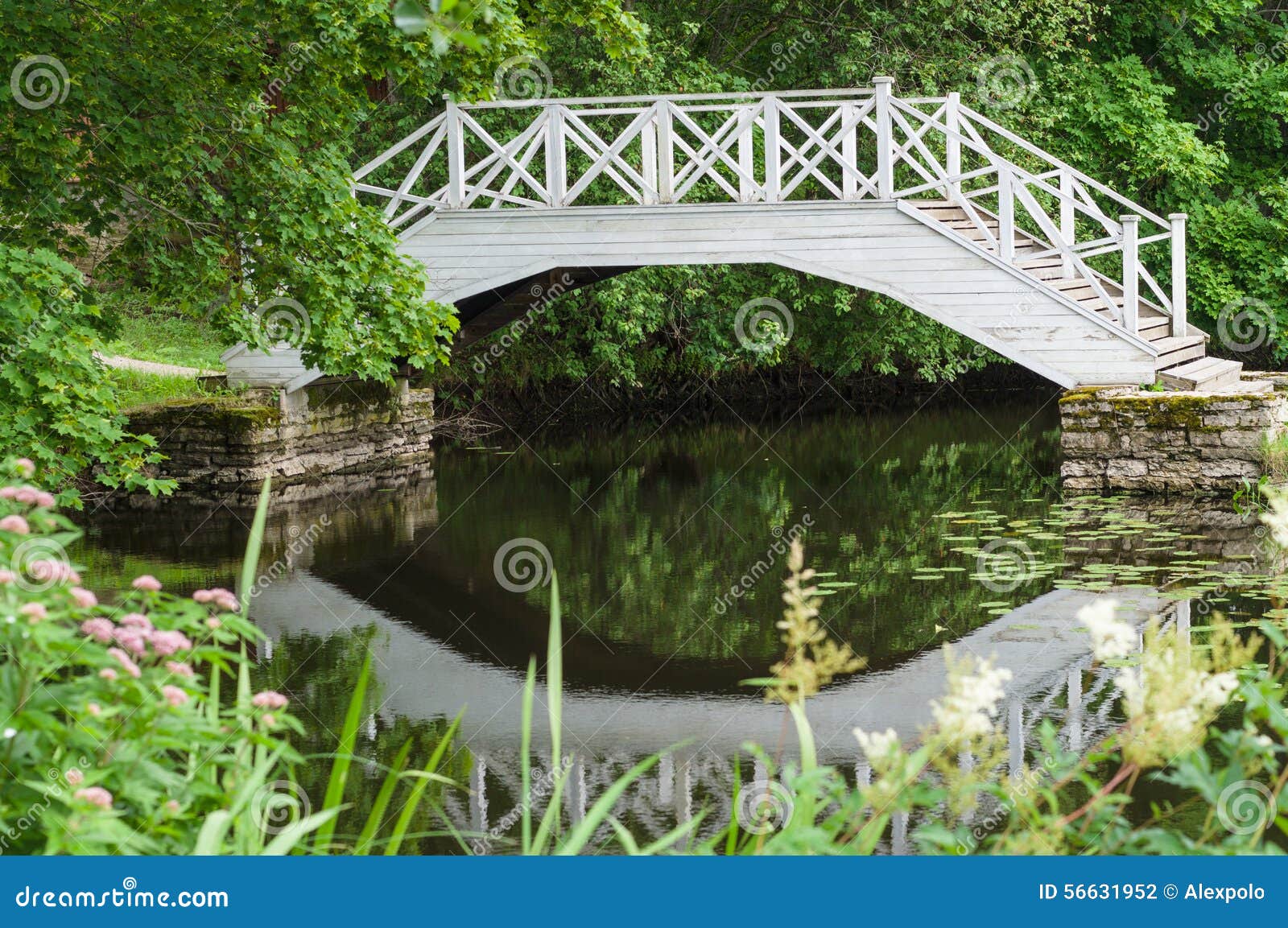Small Pond and Decorative White Wooden Bridge Stock Photo - Image of ...