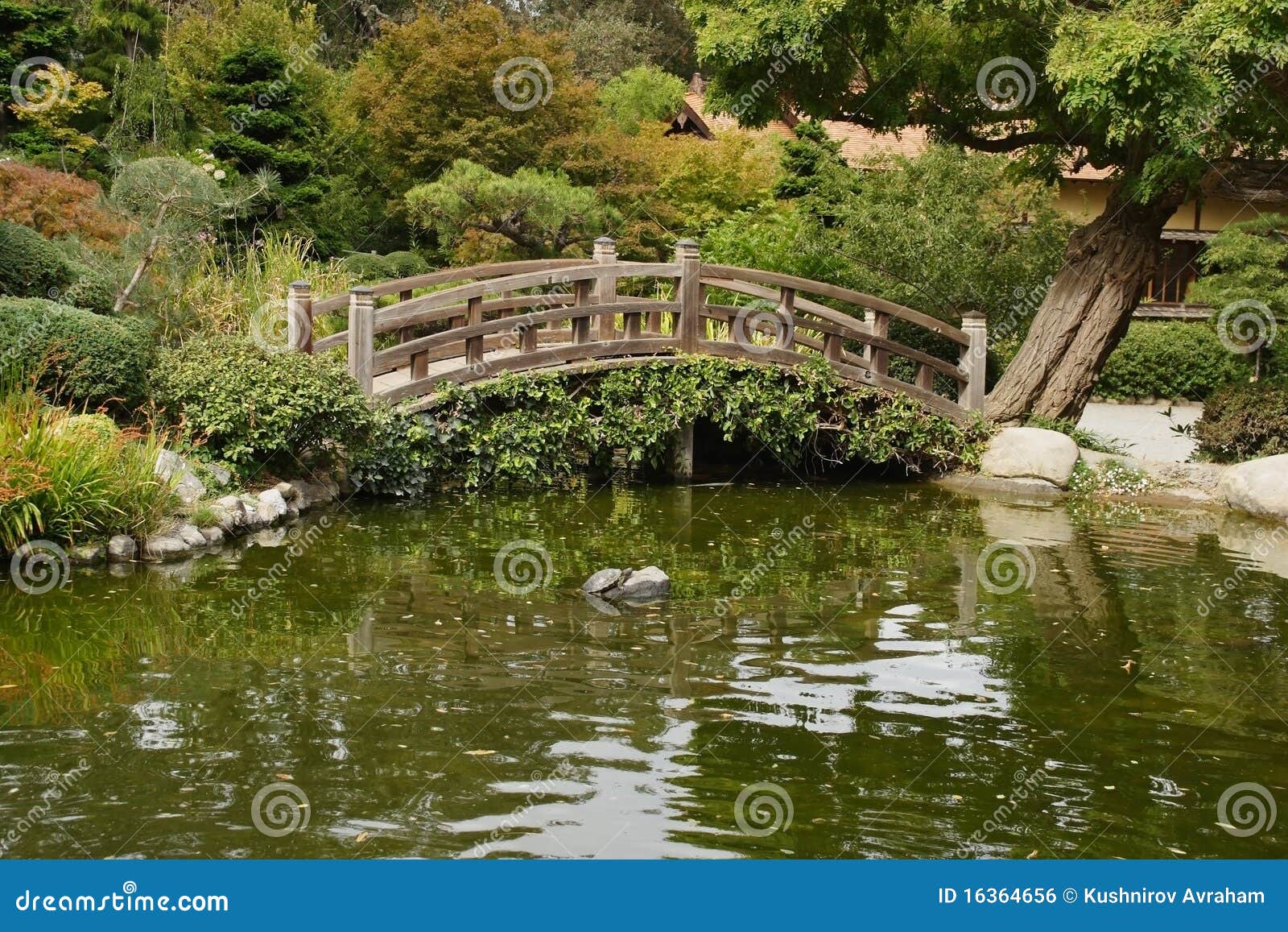 A Small Pond and a Decorative Wooden Bridge Stock Photo - Image of ...