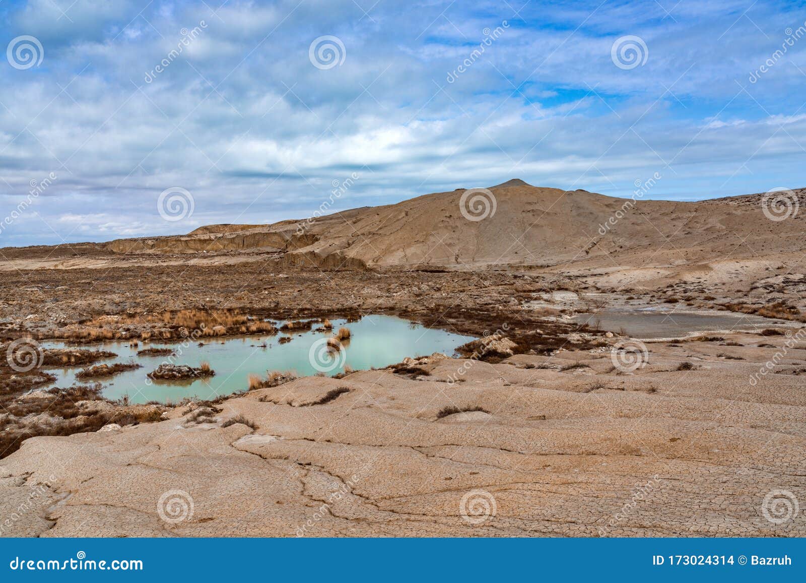 A small pond in the desert stock photo. Image of grass - 173024314