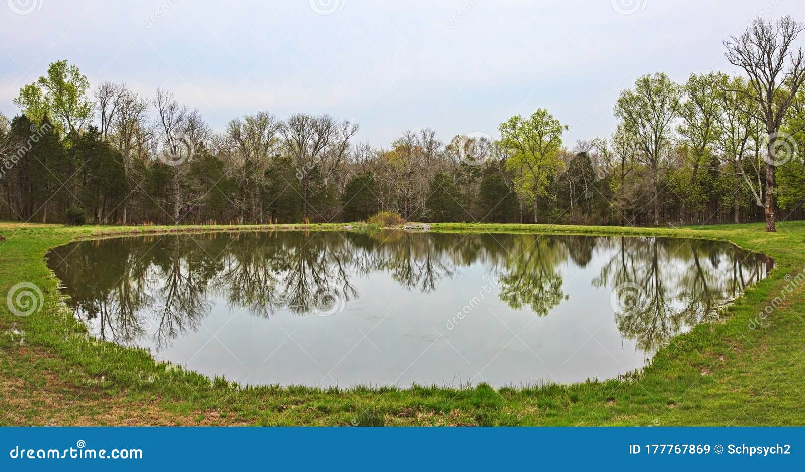 A Pond with Reflections of the Surrounding Trees. Stock Image - Image ...