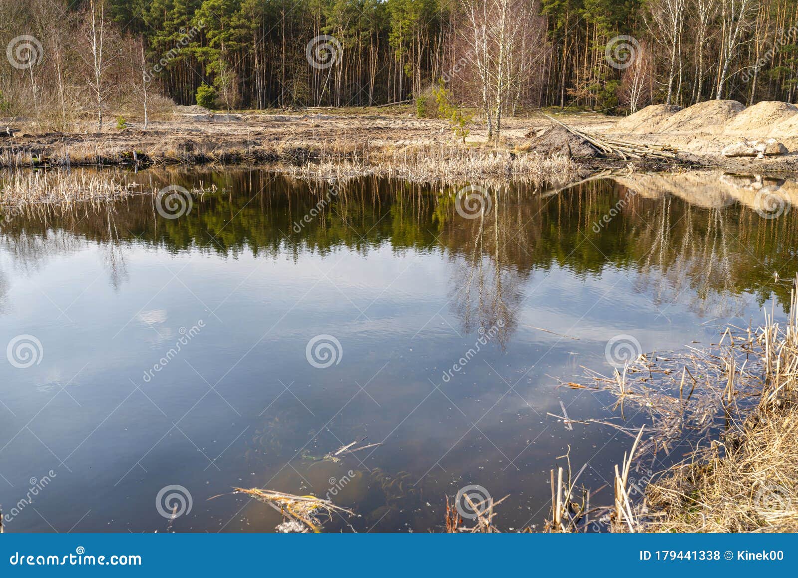 A Small Pond in the Forest with a Visible Reflection of the Sky on the ...