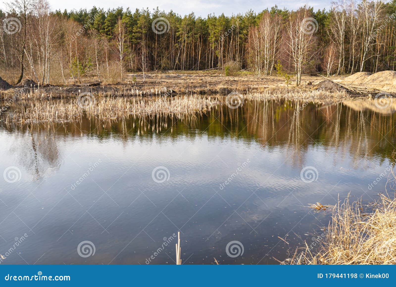 Reflection Of A Overgrown Rock Wall In A Lake Of Plitvice Lakes ...