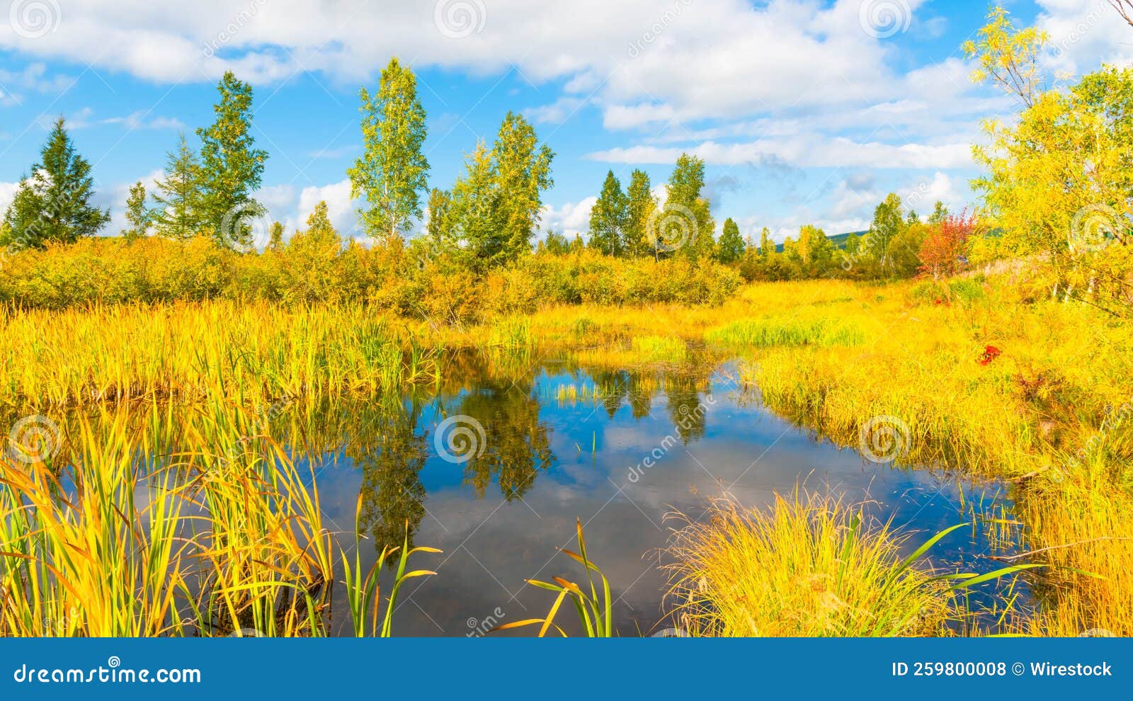 Small Pond in a Meadow in Fall with a Blue Cloudy Sky in the Background ...
