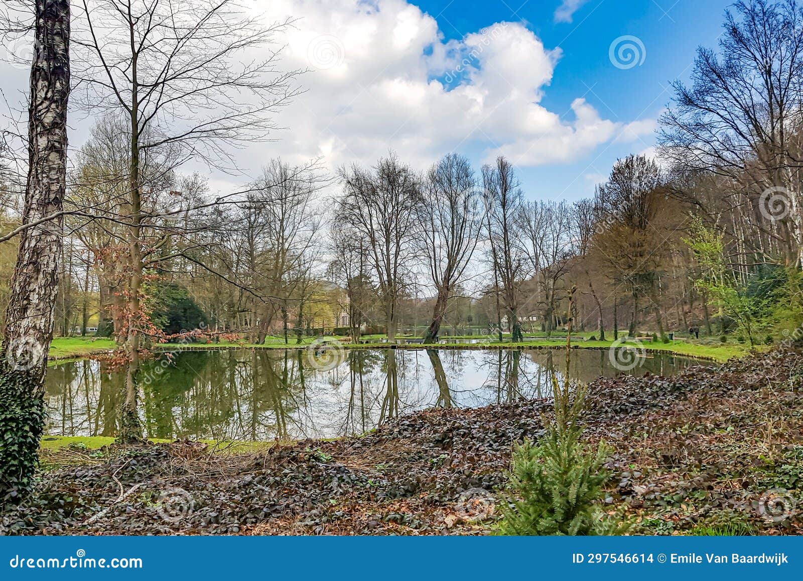 Small Pond with Mirror Reflection on Water Surface, Bare Trees Against ...