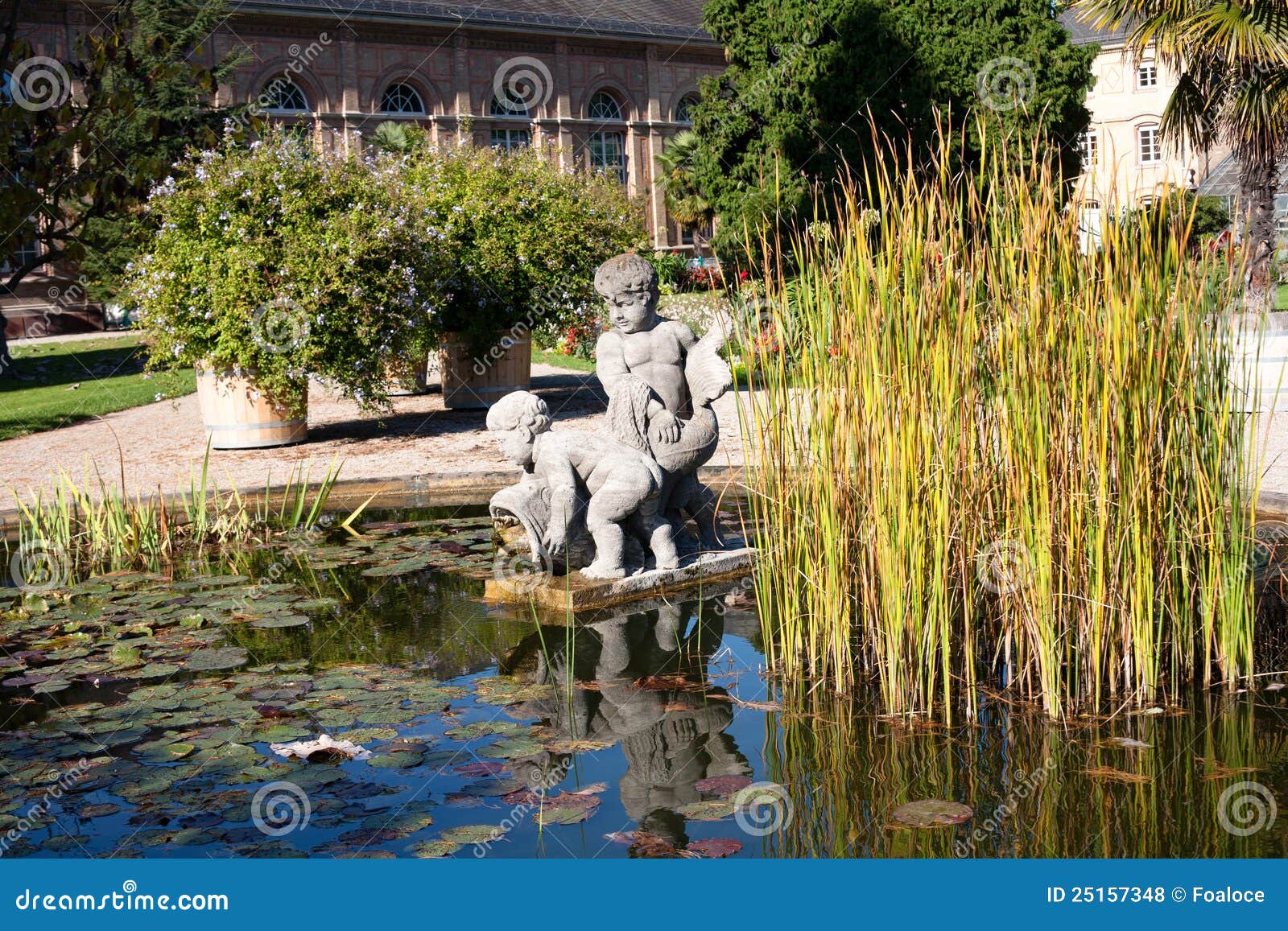 Small pond in the park stock photo. Image of lily, tree - 25157348
