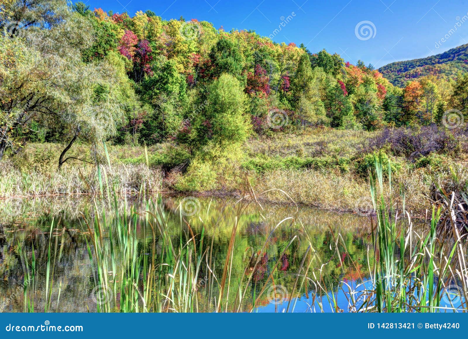 A Small Pond Shows Reflections of Colorful Trees. Stock Image - Image ...