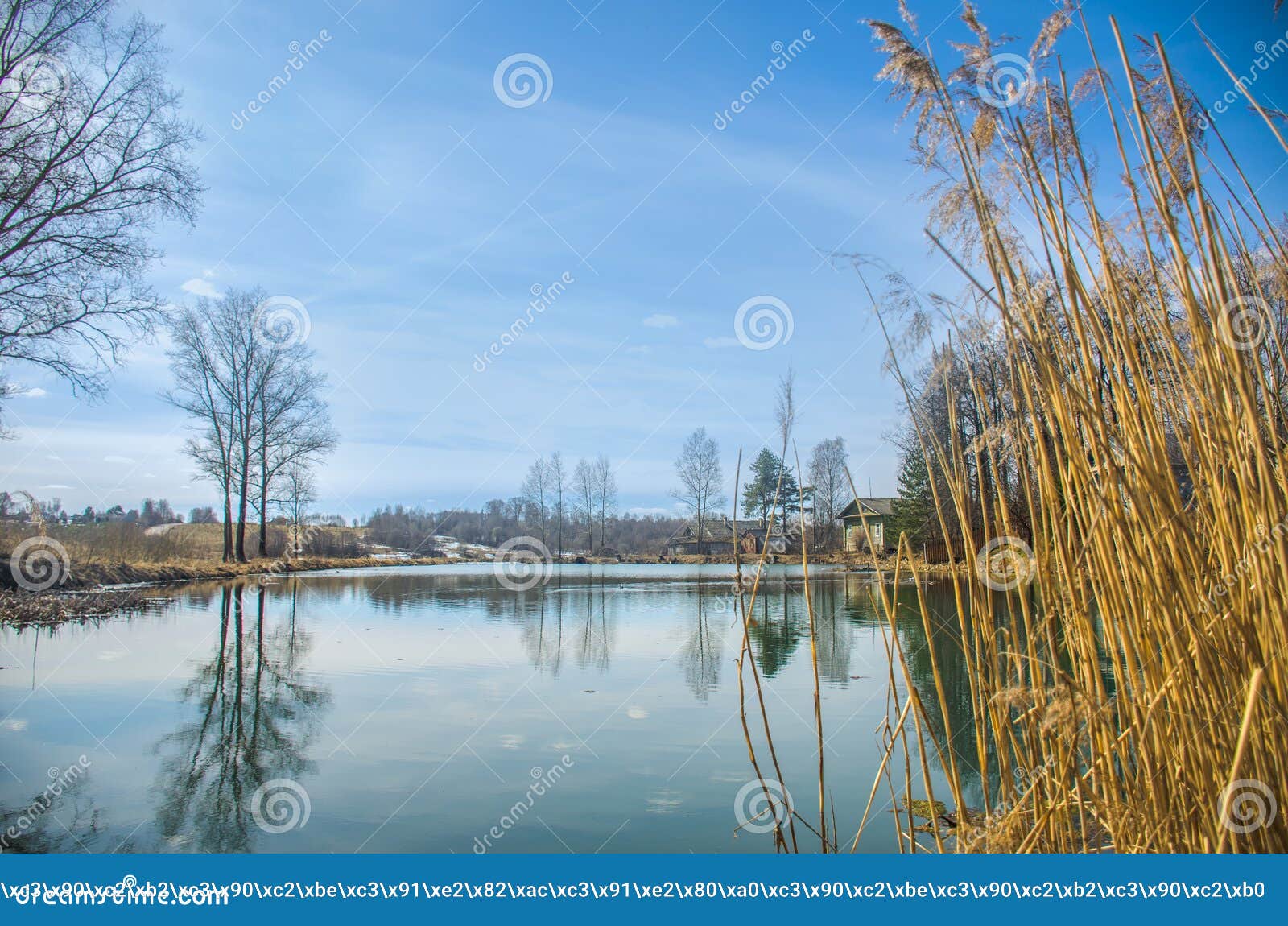 A Small Pond with a Reflection of the Blue Sky Stock Photo - Image of ...