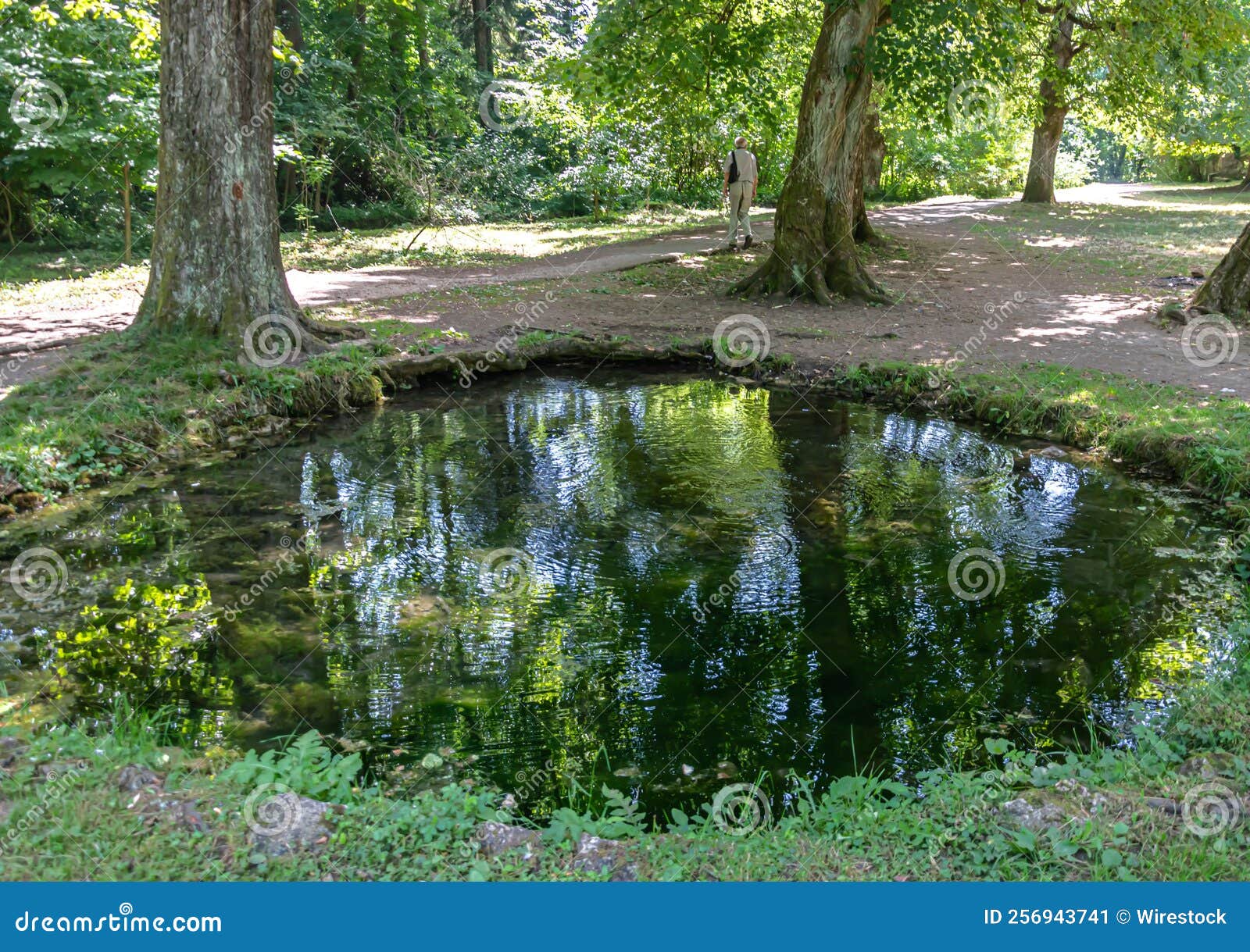Small pond on Stojcevac stock image. Image of vrelo - 256943741