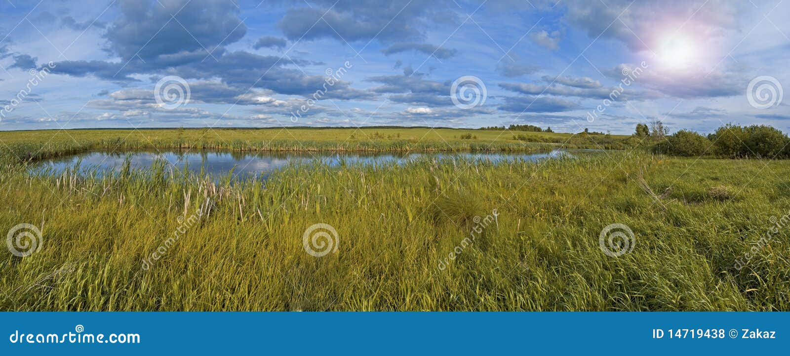 Small Pond and Swamp | Panorama Stock Photo - Image of season, plant ...
