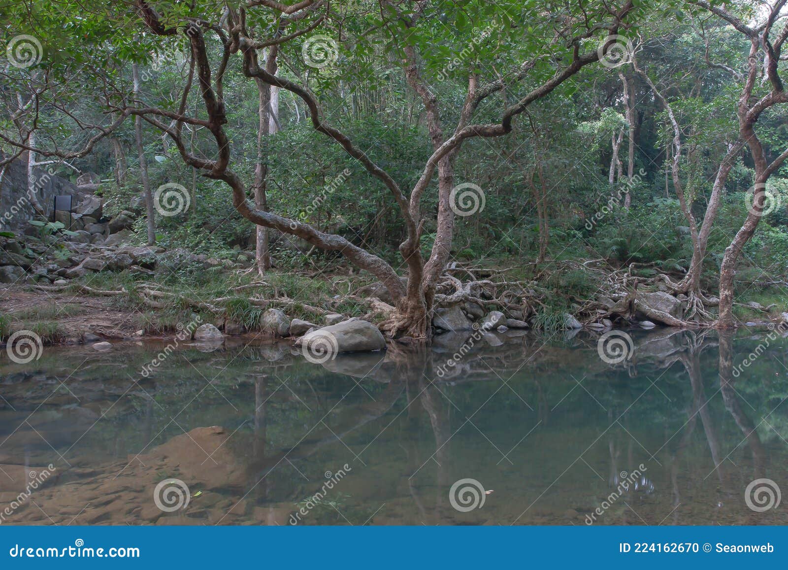 Uppon River Stock Photos - Free & Royalty-Free Stock Photos from Dreamstime