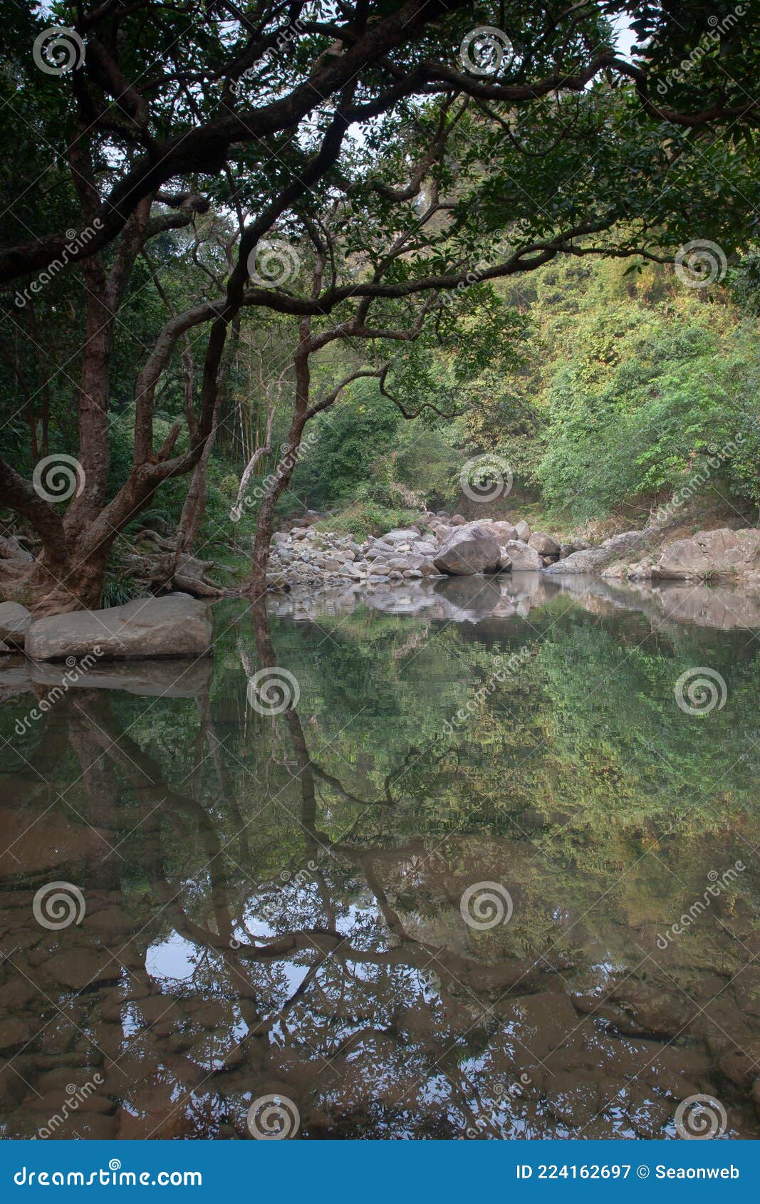 A Small Pond at the Uppon River, Shing Mun Reservior Stock Image ...