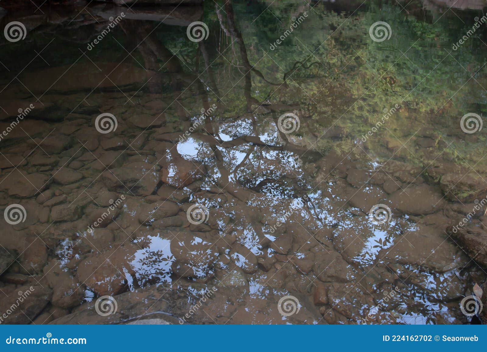 A Small Pond at the Uppon River, Shing Mun Reservior Stock Photo ...