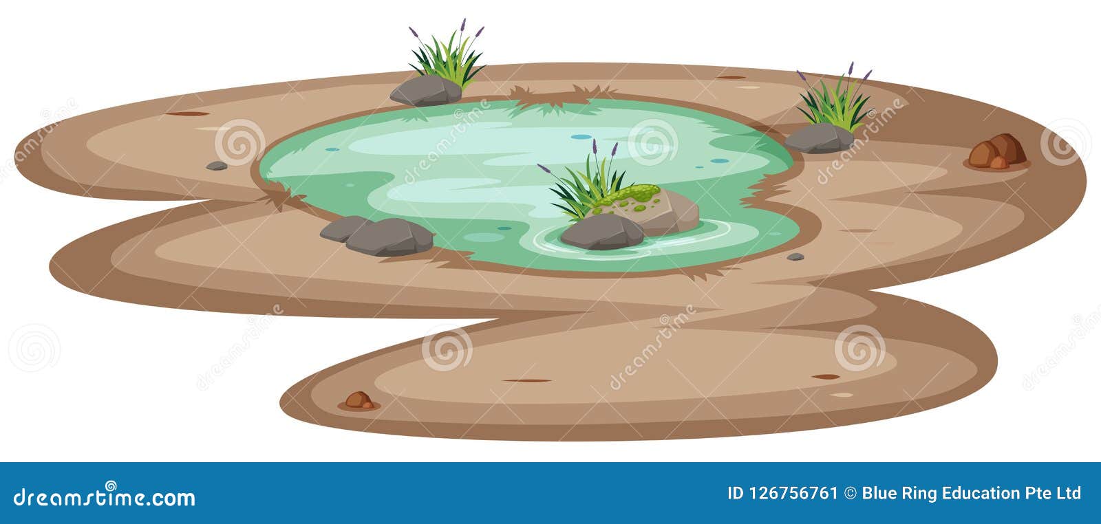 A Small Pond on White Background Stock Vector - Illustration of ...