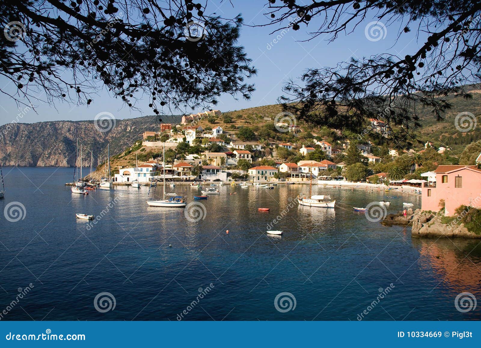 Small Port Jackson Shark Royalty-Free Stock Photography | CartoonDealer ...