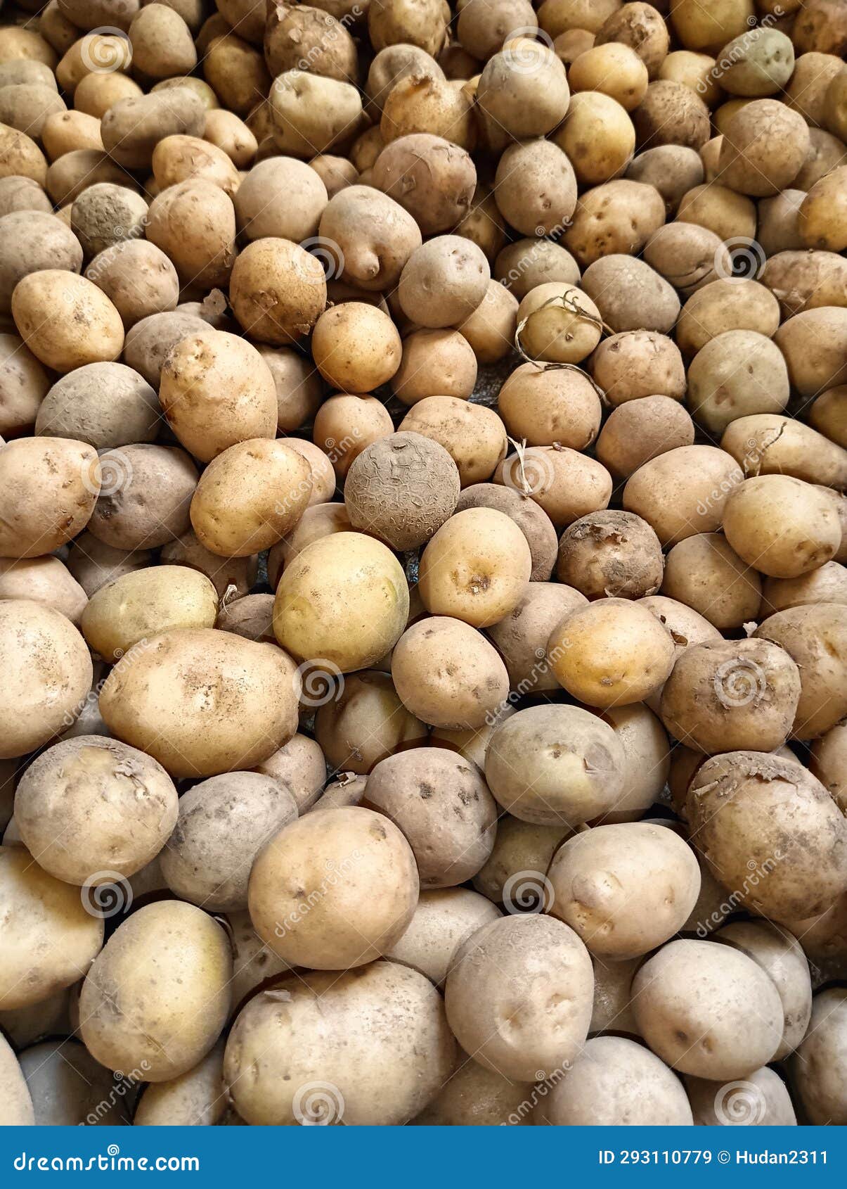 Small potato stock image. Image of produce, dish, fruit - 293110779