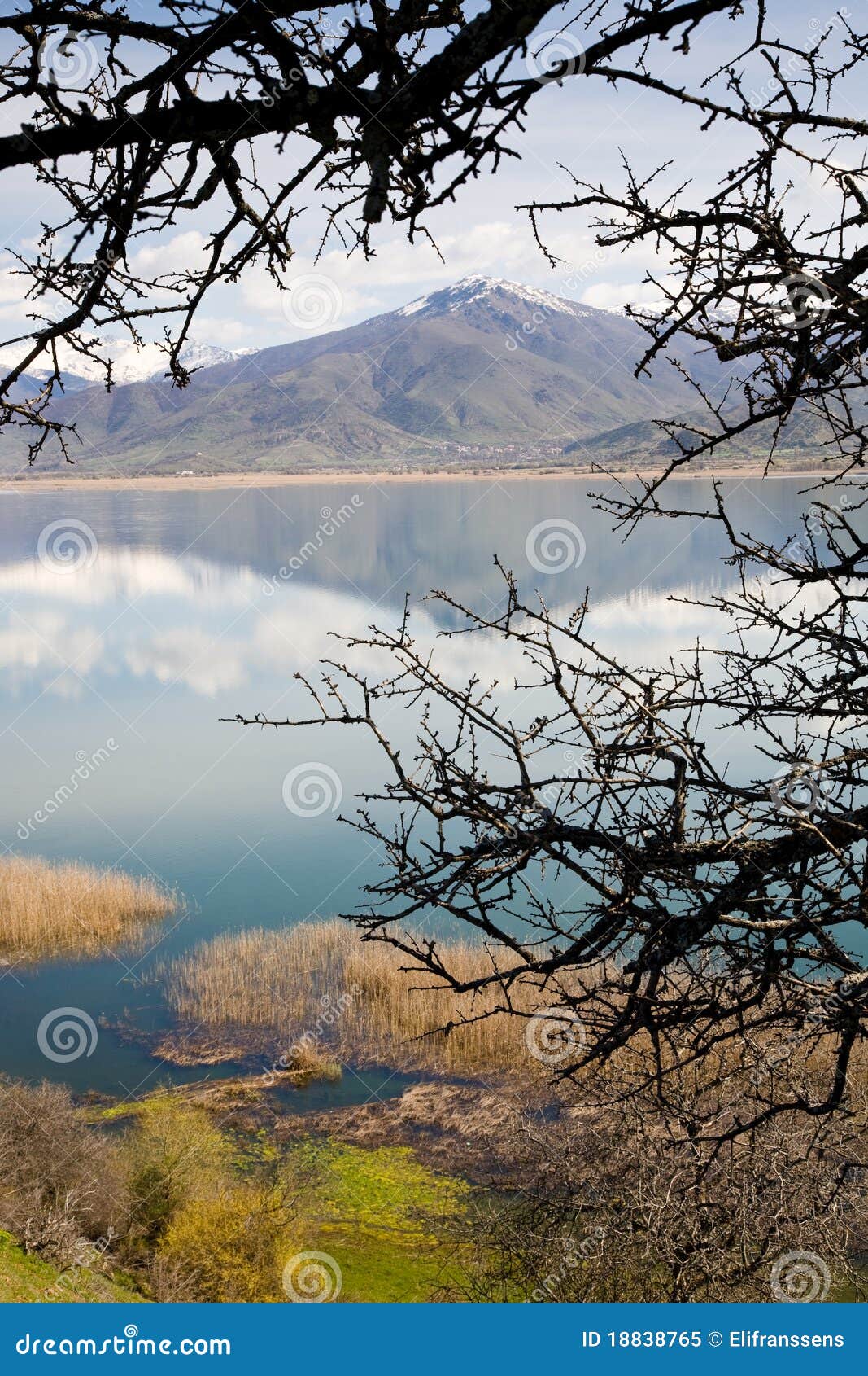 Small Prespa Lake, Greece stock image. Image of tree - 18838765