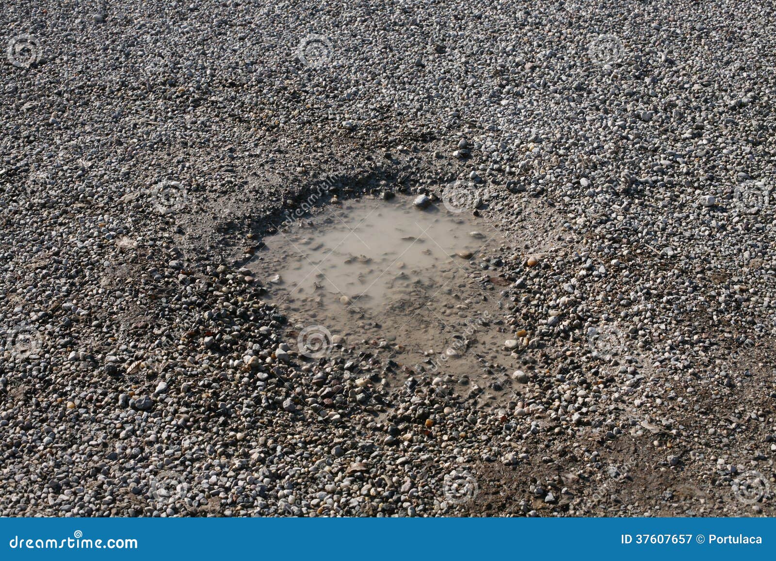Small puddle stock image. Image of centre, pebbles, small - 37607657