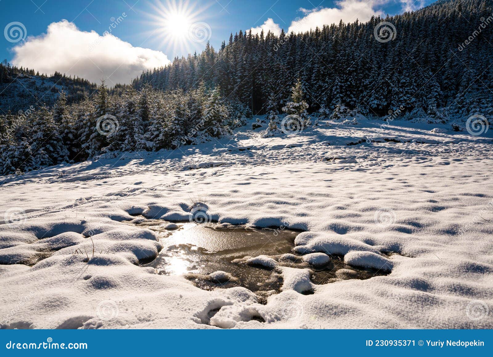 Small Puddle of Melted Snow in the Spring Sun in the Carpathian ...