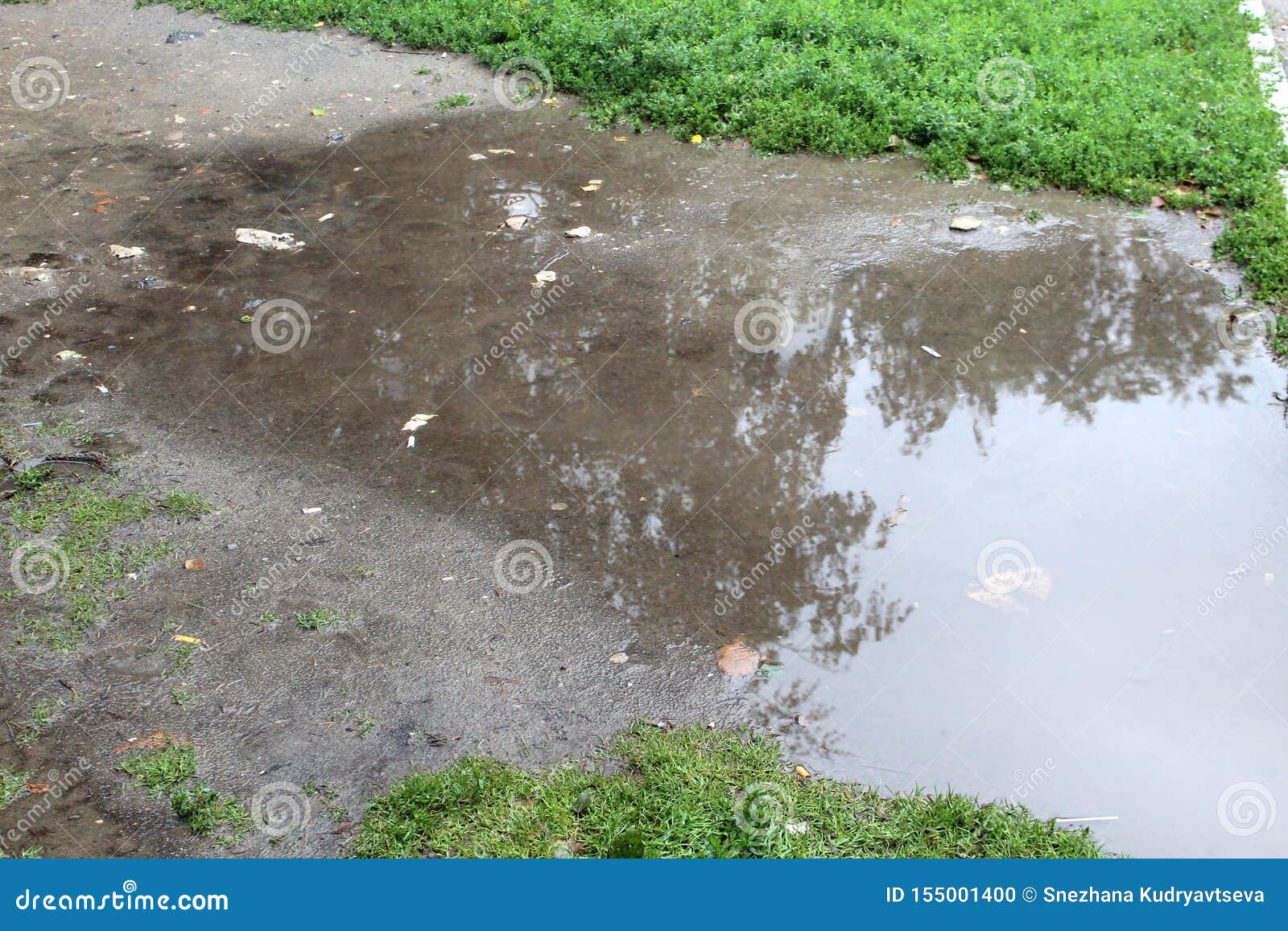 Small Puddle on a Path Next To Grass after Rain Stock Photo - Image of ...