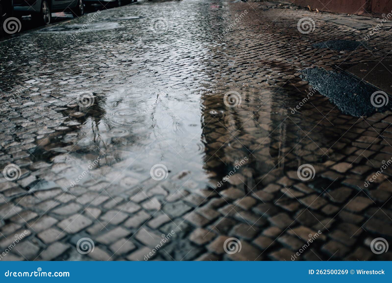 Small Puddle after a Rain on a Brick Ground Stock Image - Image of ...