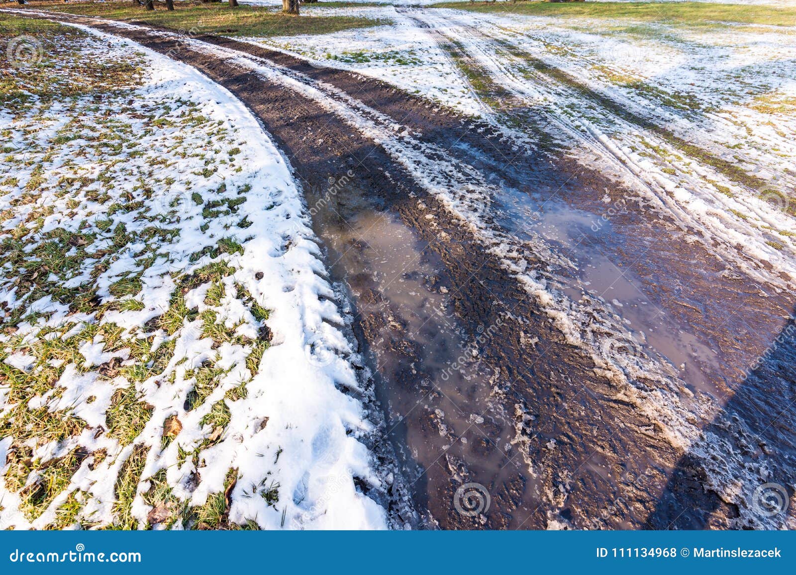 Small Puddle on the Road, Reflection in Water Near the Meadow. Snow and ...