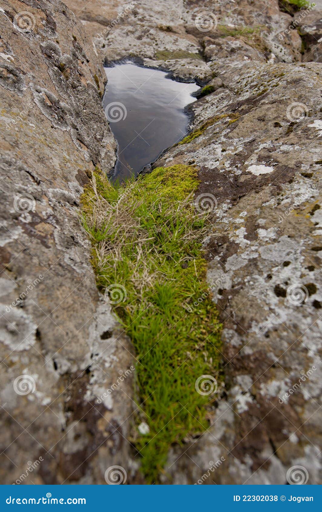 Small puddle in a rock stock photo. Image of environment - 22302038