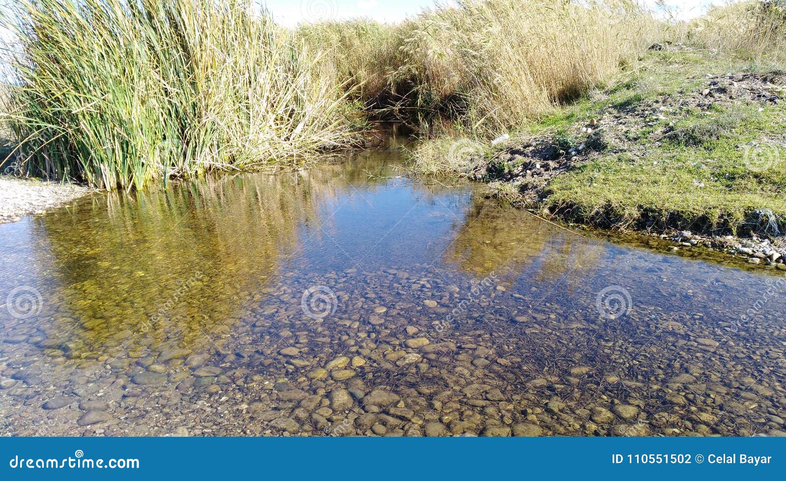Small puddle stock photo. Image of reflection, landscape - 110551502