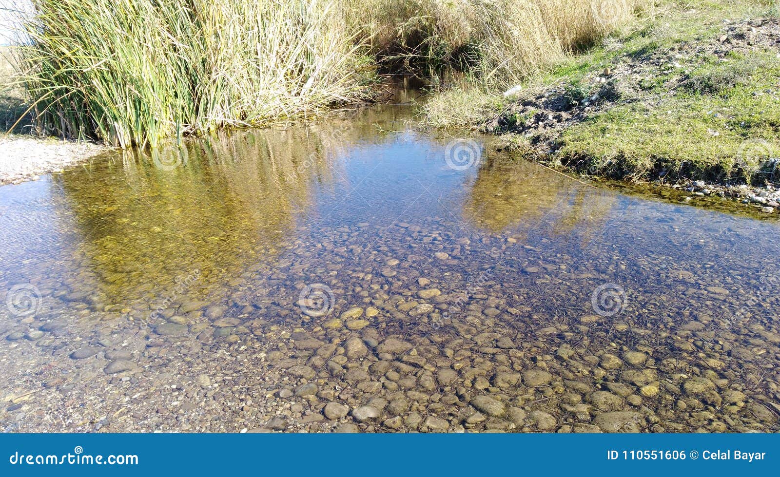 Small puddle stock photo. Image of small, esenler, landscape - 110551606