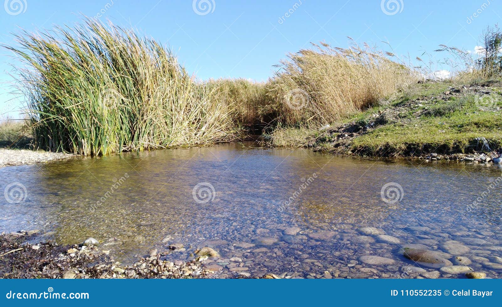 Small Puddle Stock Photos - Download 2,399 Images