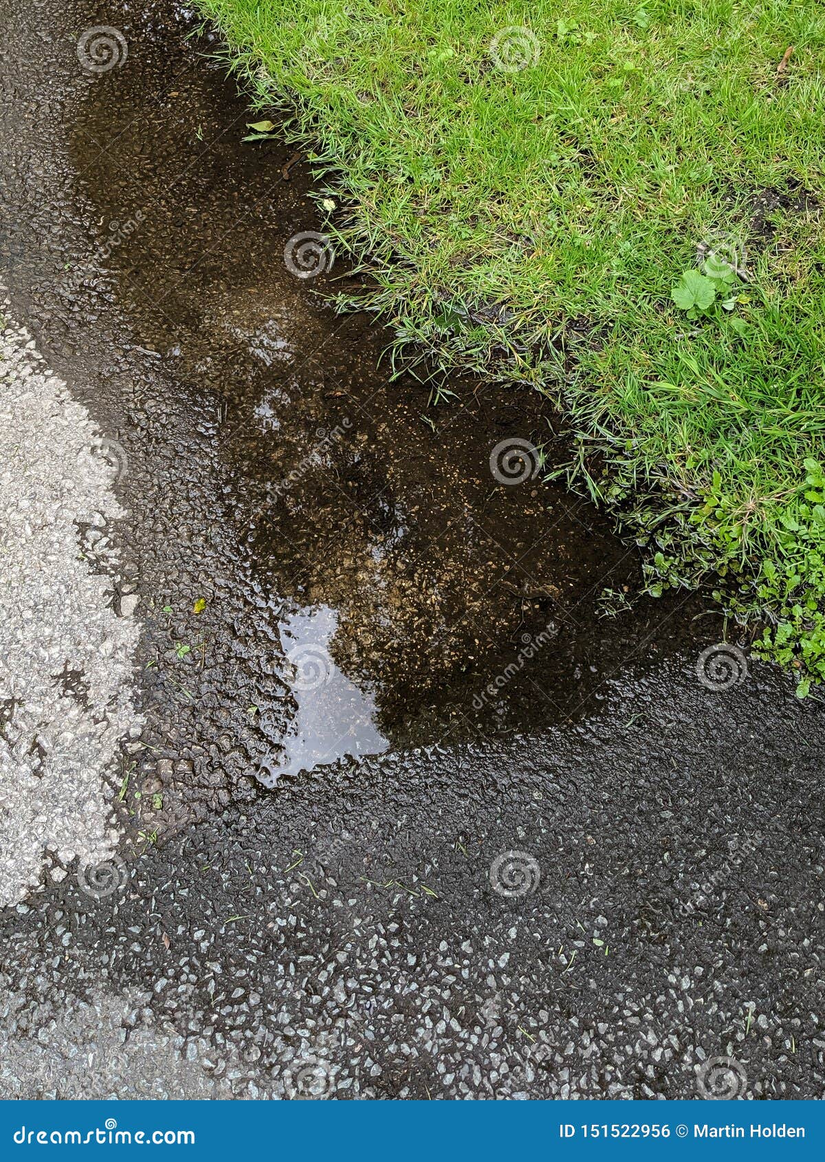 Small puddle stock photo. Image of rain, natural, water - 151522956