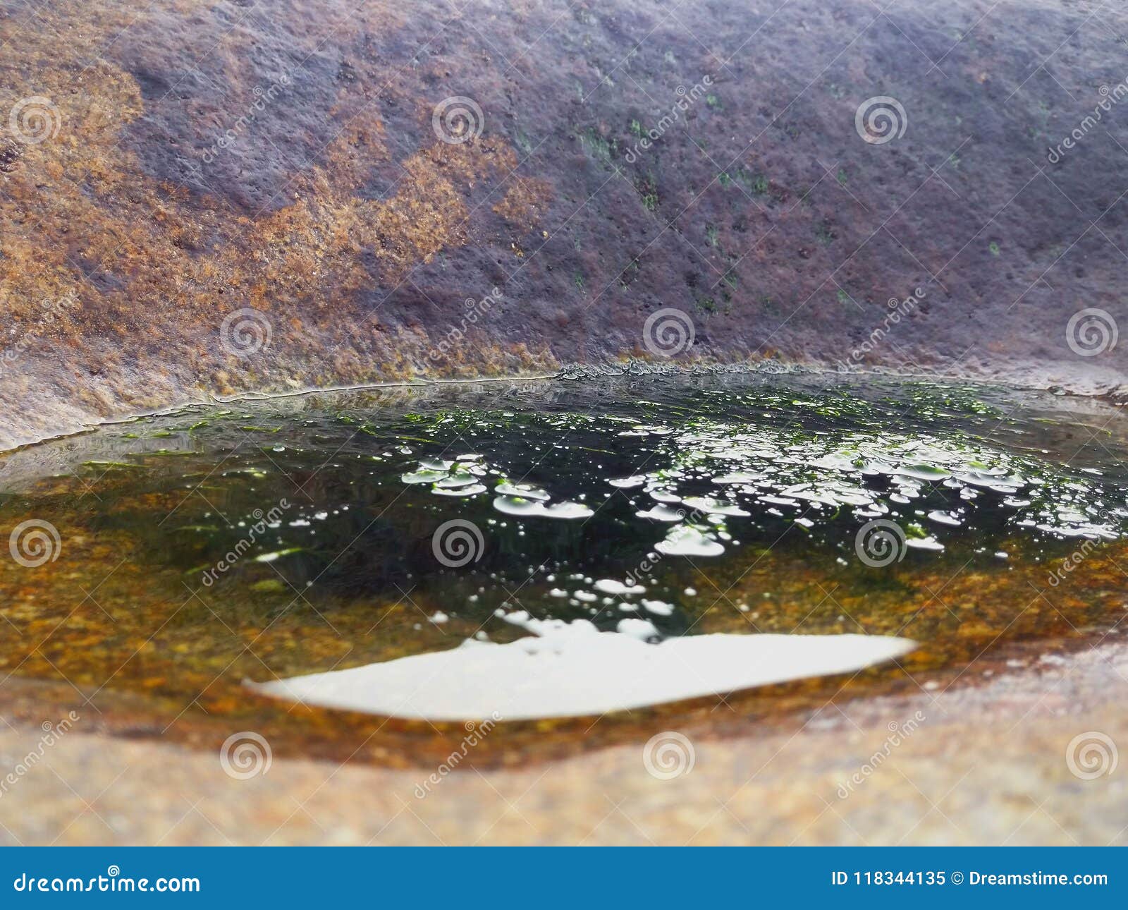 Small Puddle of Water Filled with Algae with Rocks in the Background ...