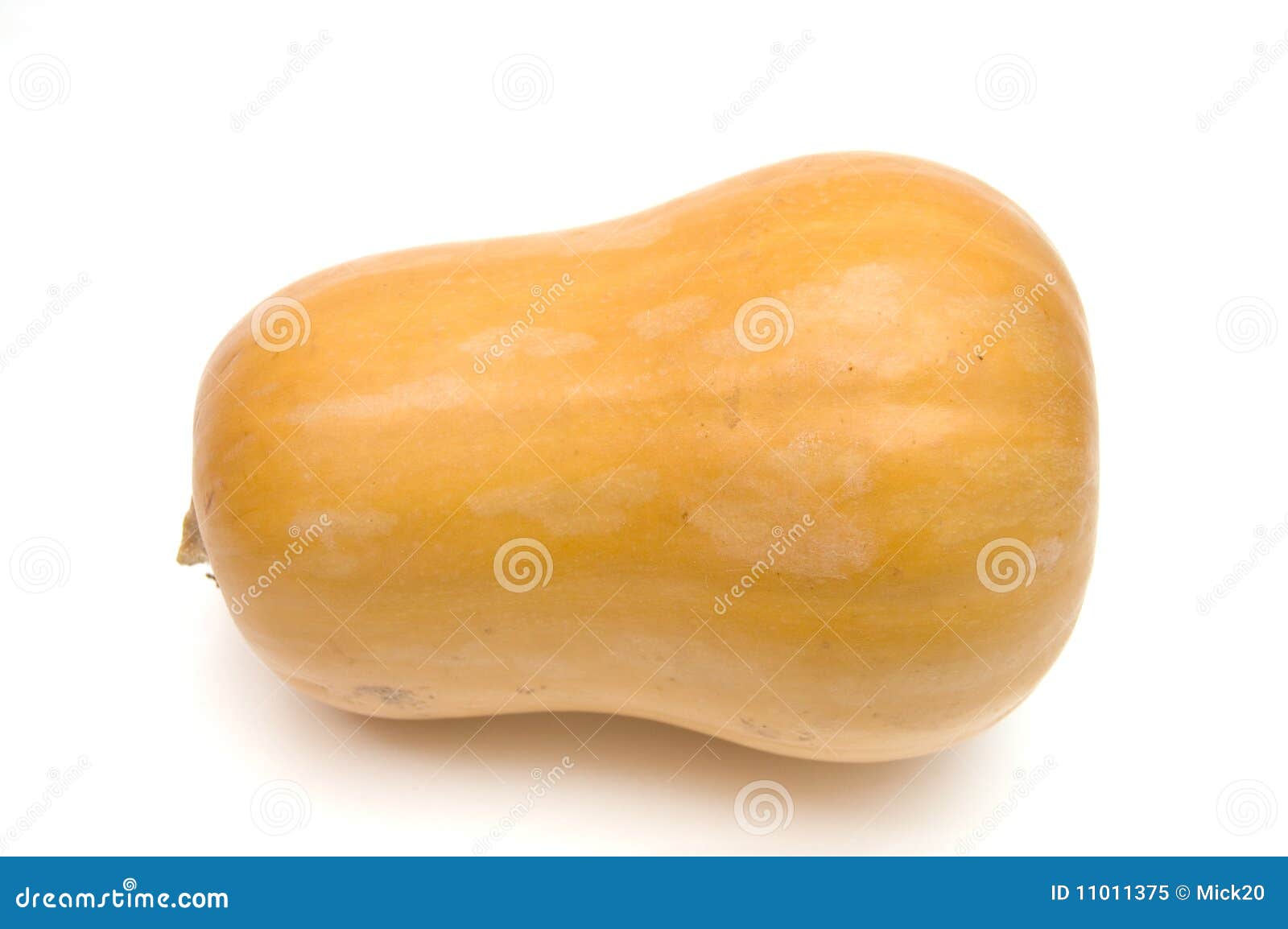 Small pumpkin stock image. Image of agriculture, food - 11011375