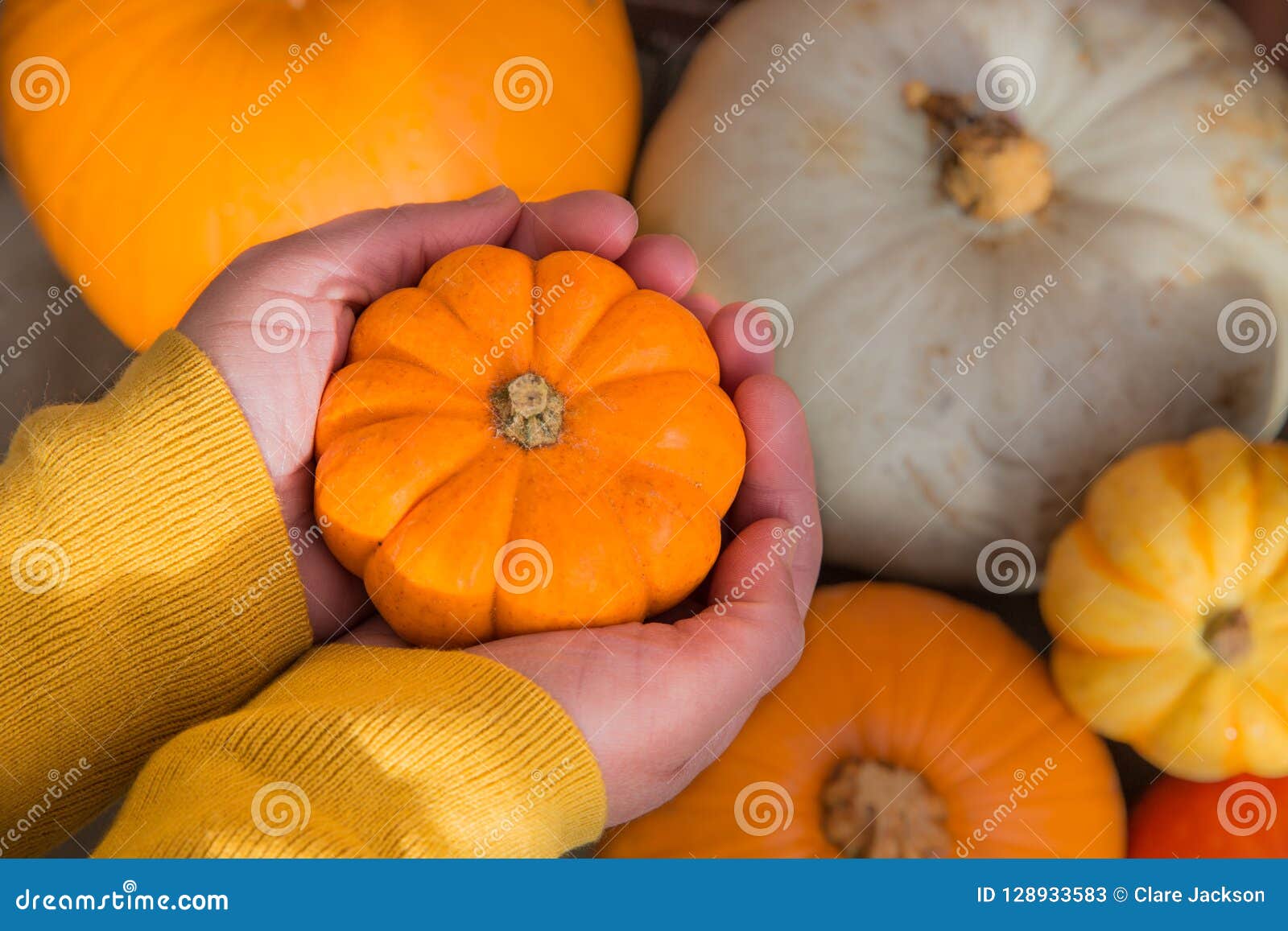 Munchkin Collection Stock Photos - Free & Royalty-Free Stock Photos ...